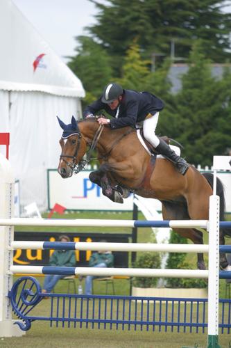 OKIDOKI | HorseTelex