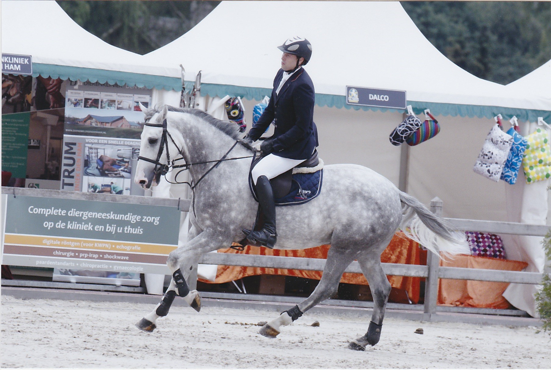 DON JUAN | HorseTelex