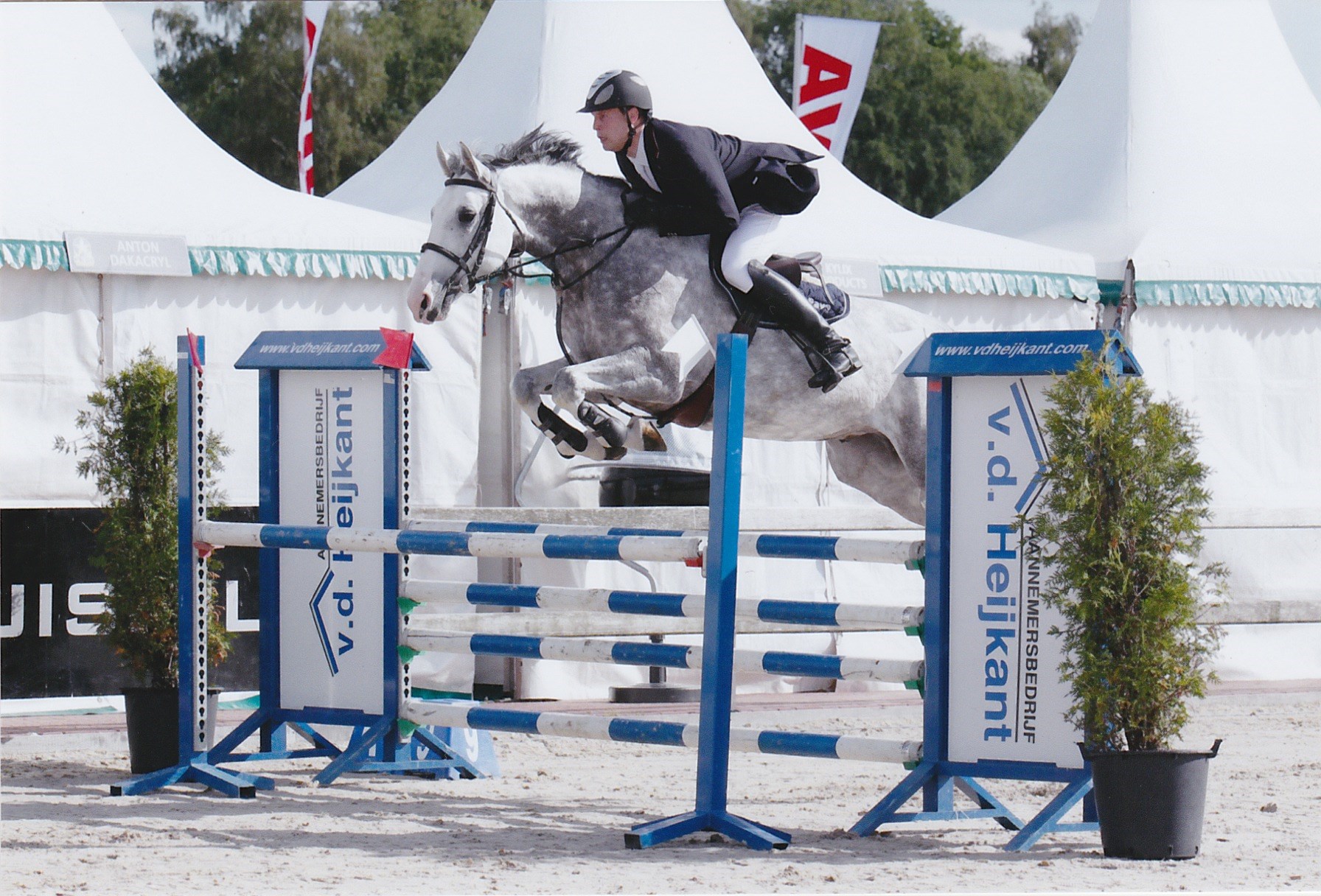 DON JUAN | HorseTelex