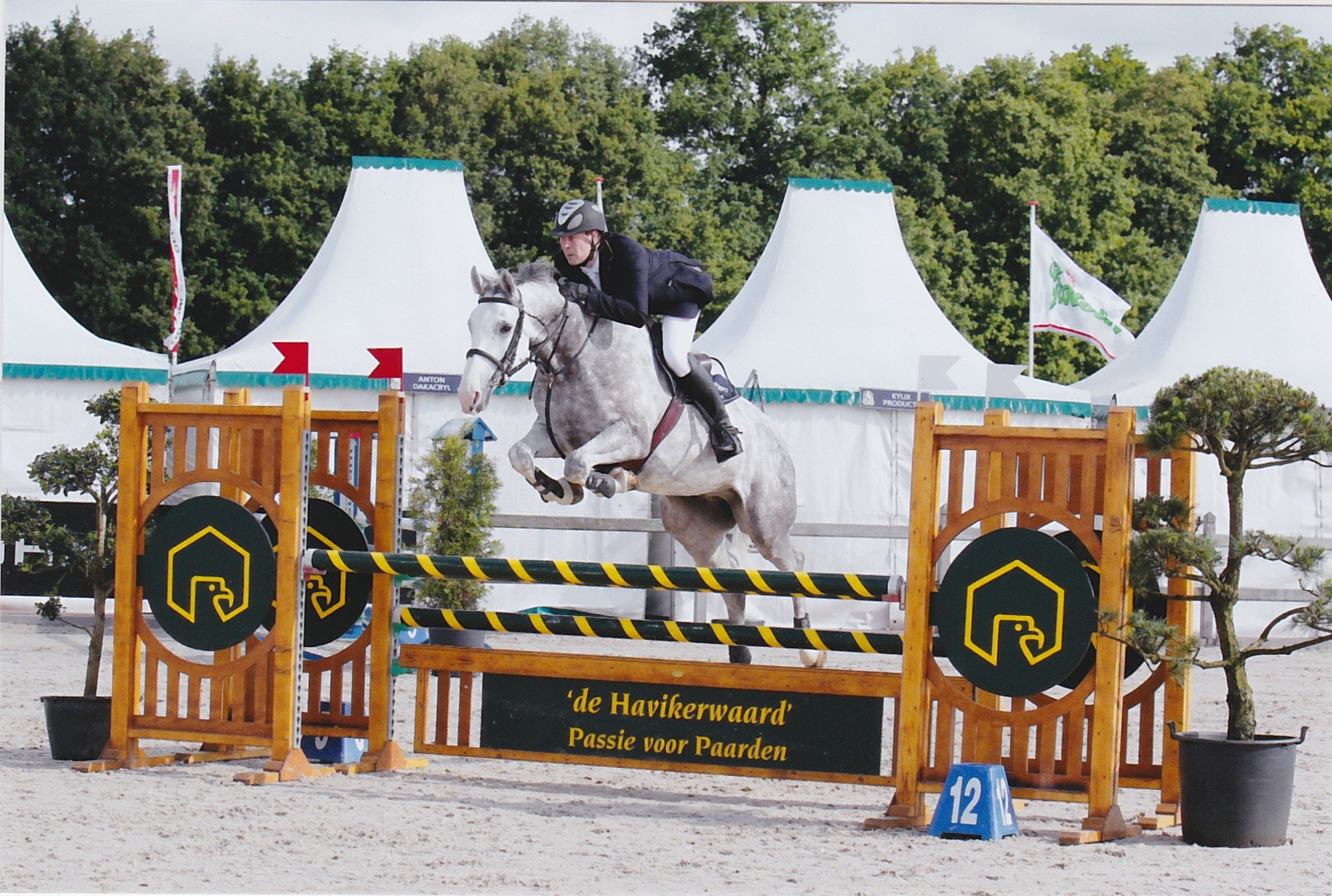 DON JUAN | HorseTelex