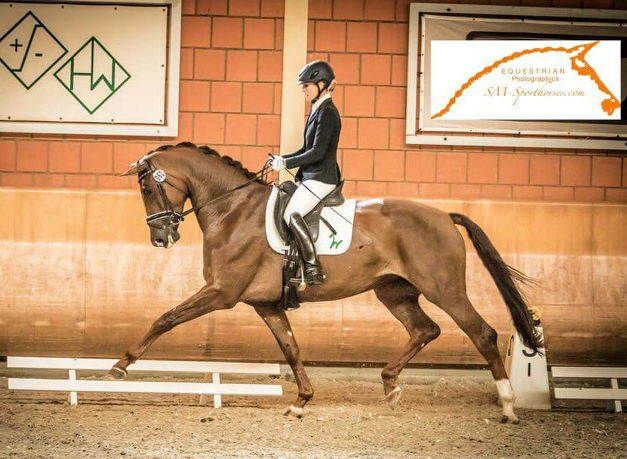 VICTORIA'S SECRET | HorseTelex